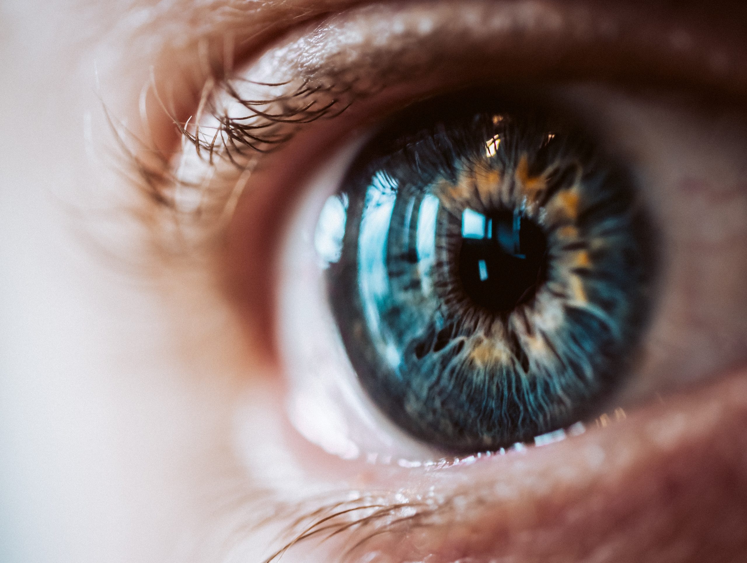 Common Eye Conditions and Their Symptoms – Fillmore Eye Clinic