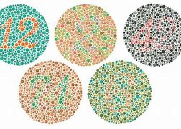 Seeing the World Through Different Eyes: Exploring Color Blindness ...